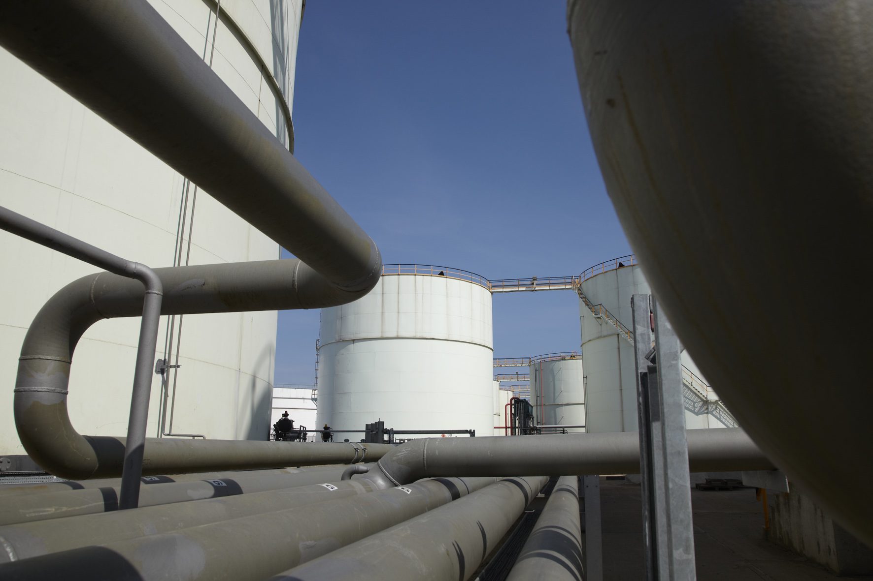 Harvest Energy goes from strength to strength at Simon’s Seal Sands ...