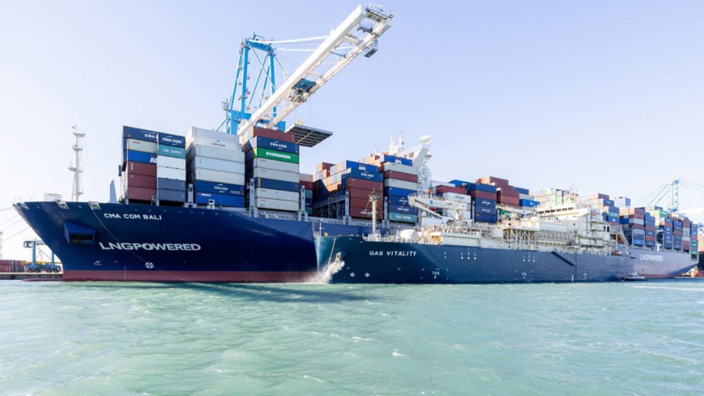 Training container | Bulk Distributor