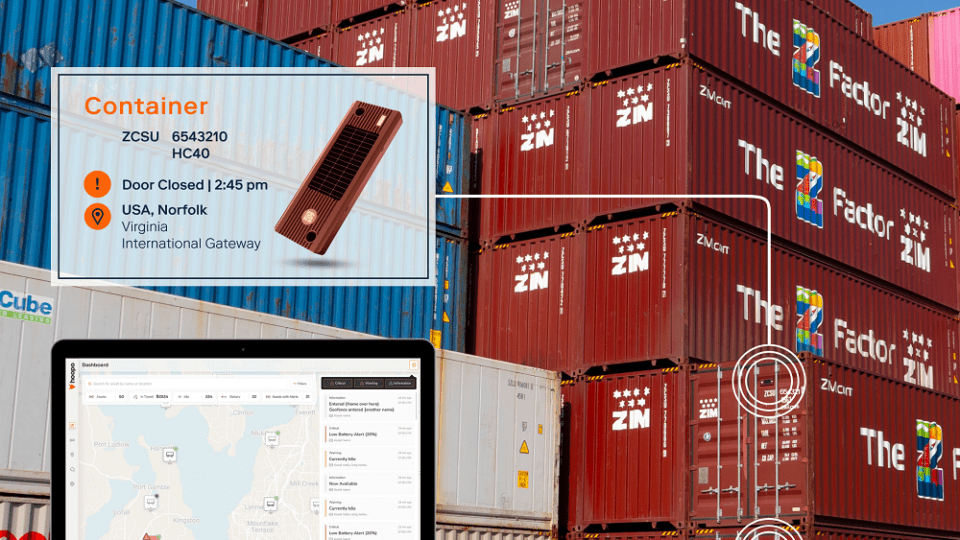 ZIM accelerates global rollout of smart containers – Bulk Distributor
